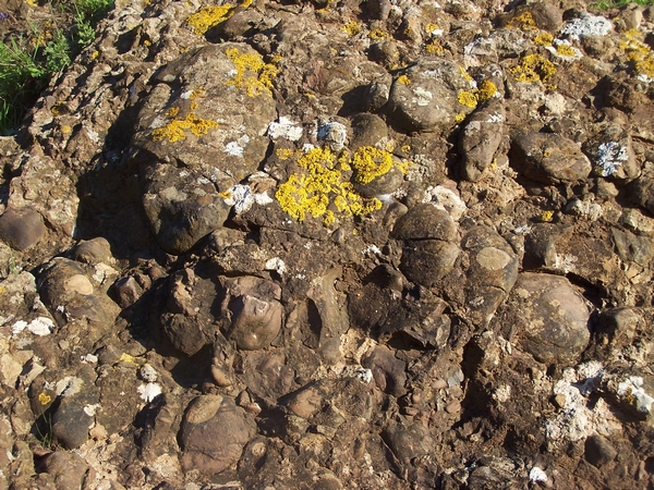 Lithothèque du Maroc