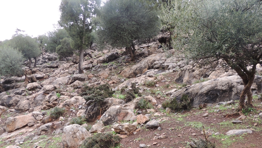 Lithothèque du Maroc